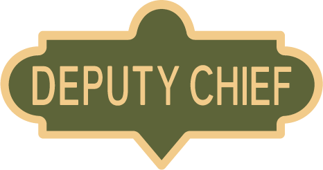 C624_DEPUTY_CHIEF | Badge And Wallet