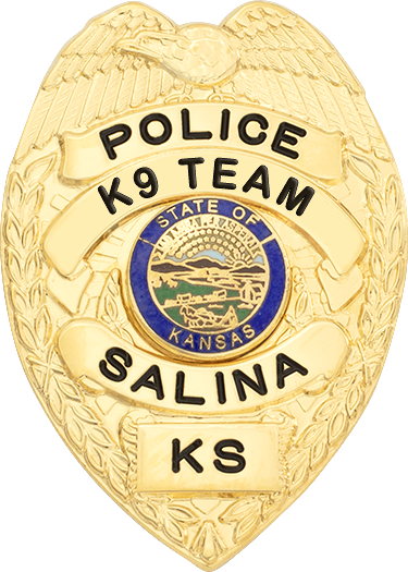 S295A-K9 | Badge And Wallet